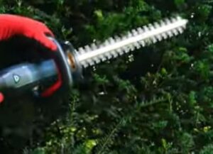 Sharpening Hedge Trimmer Blades with a File - Outdoor Tool Guide